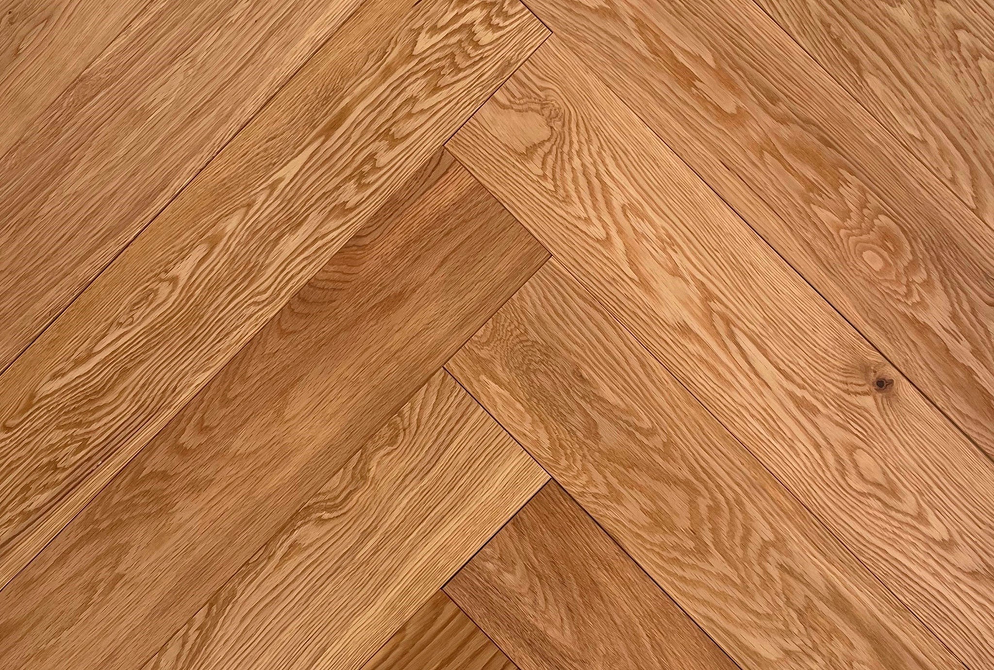 Cierzo – EXTERPARK